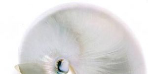 Comment reconnaître les métaux et matières